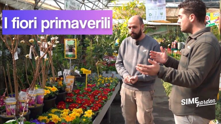 Fiorellini Gialli: I Fiori Primaverili da Non Perdere | Actualizado ...