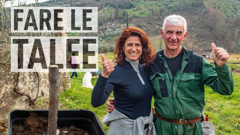 Guida alla Talea: Cos'è e Come Realizzarla | Actualizado diciembre 2025